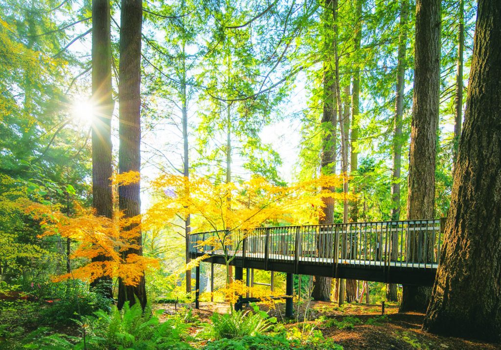 Leach Botanical Garden - The Climate Toolkit