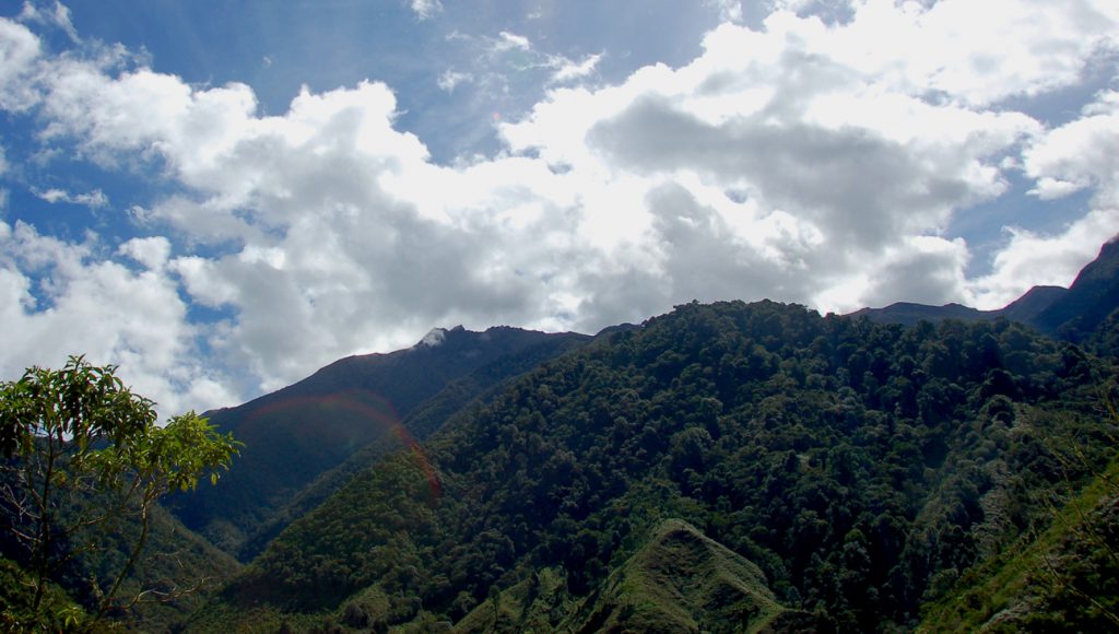 Cloudbridge Nature Reserve - The Climate Toolkit